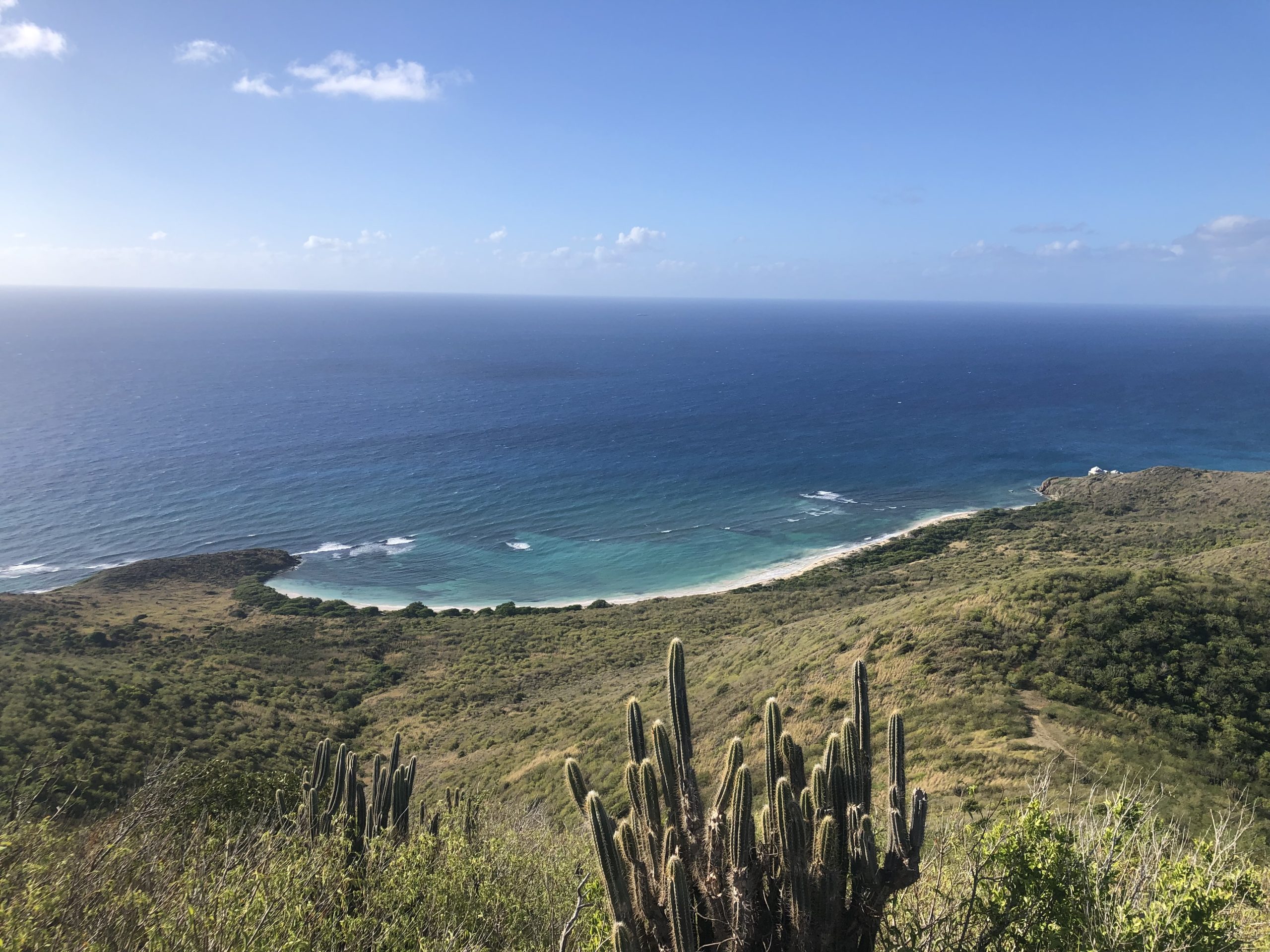 STX Gallery - Long Reef Condos - St Croix, USVI